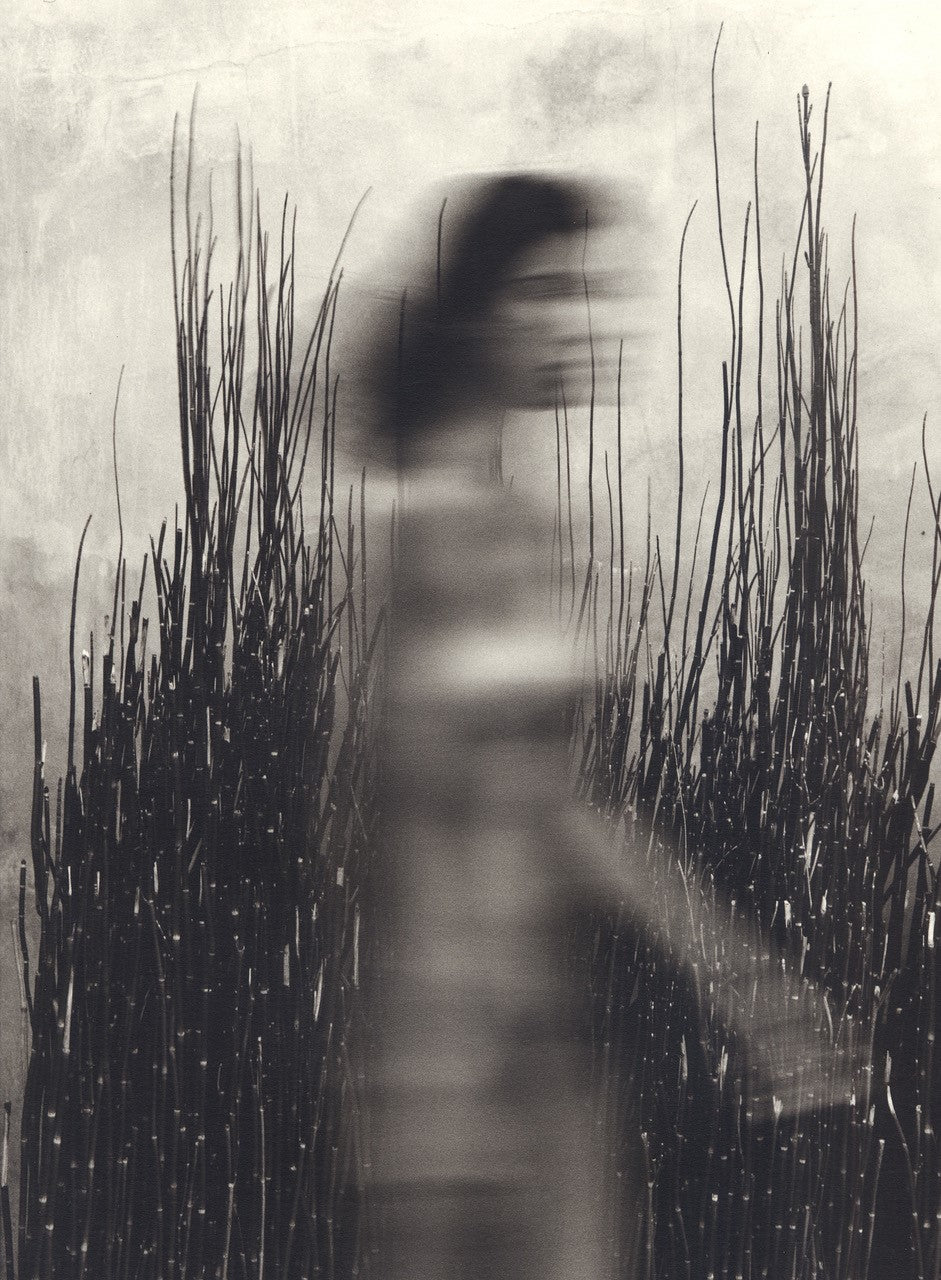 Reed Walker – Place. A Design Atelier by Philpotts